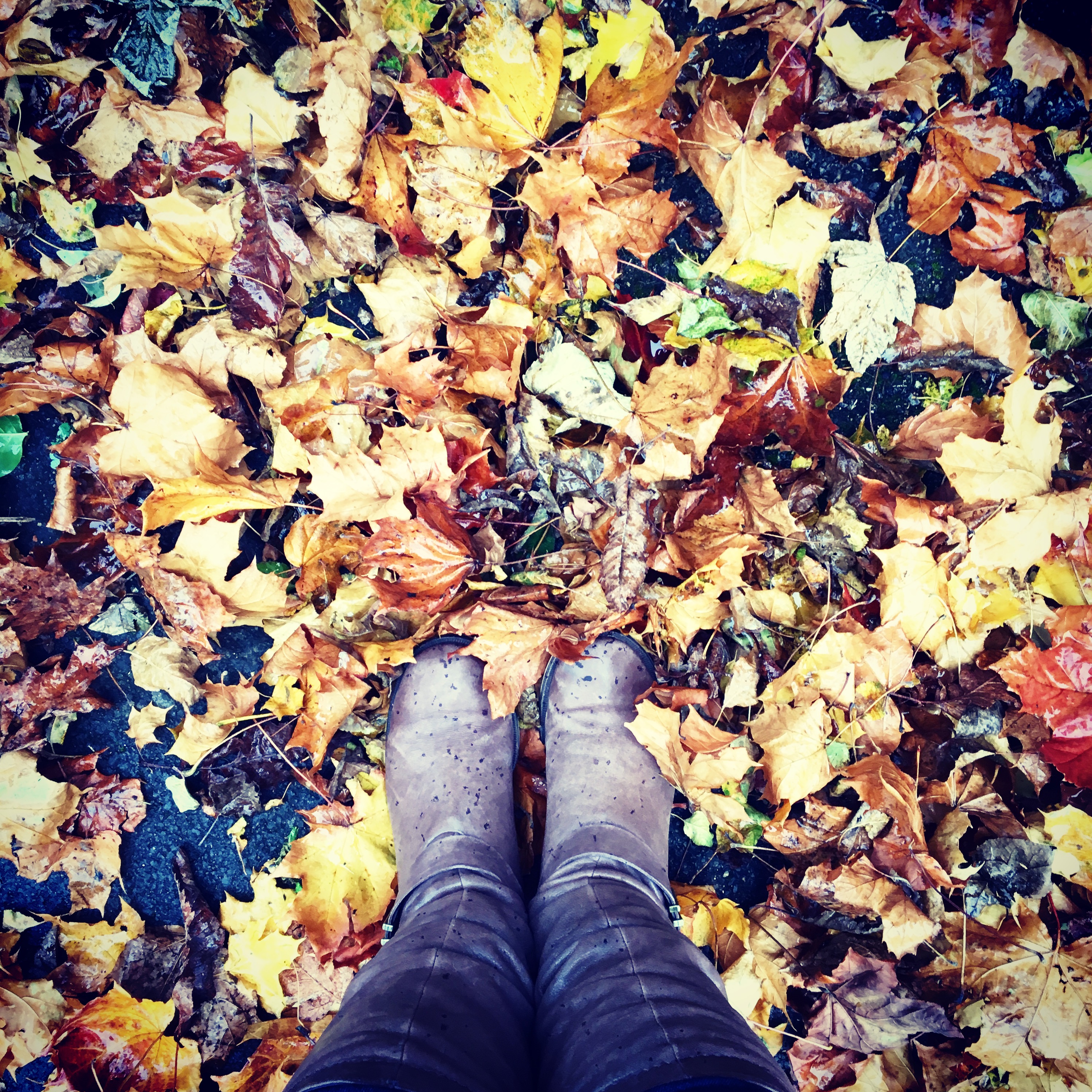 7 of My Favourite Things About Autumn – Chloe Metzger